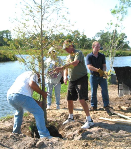 Trees planted at Harns Marsh | News, Sports, Jobs - Lehigh Acres Citizen
